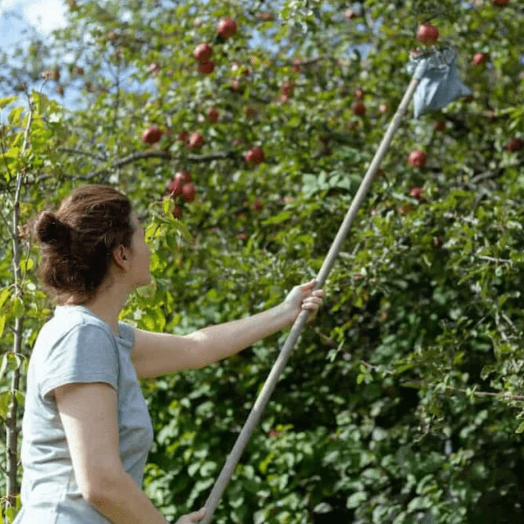 Gardening Tool – Santhi Metal eShop