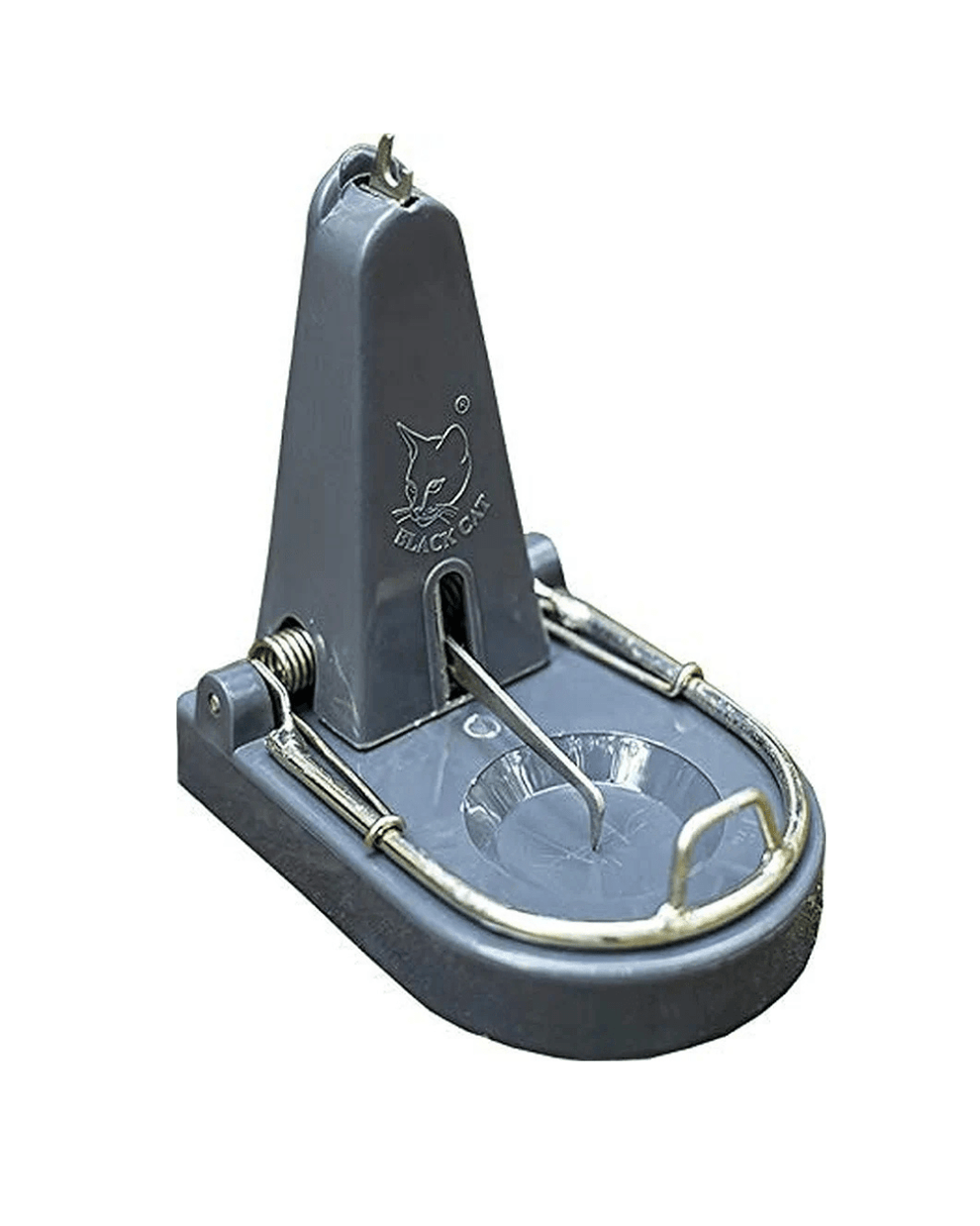 Black Cat Rat Trap – Heavy Spring Snap Trap for Home, Shops & Godowns ...