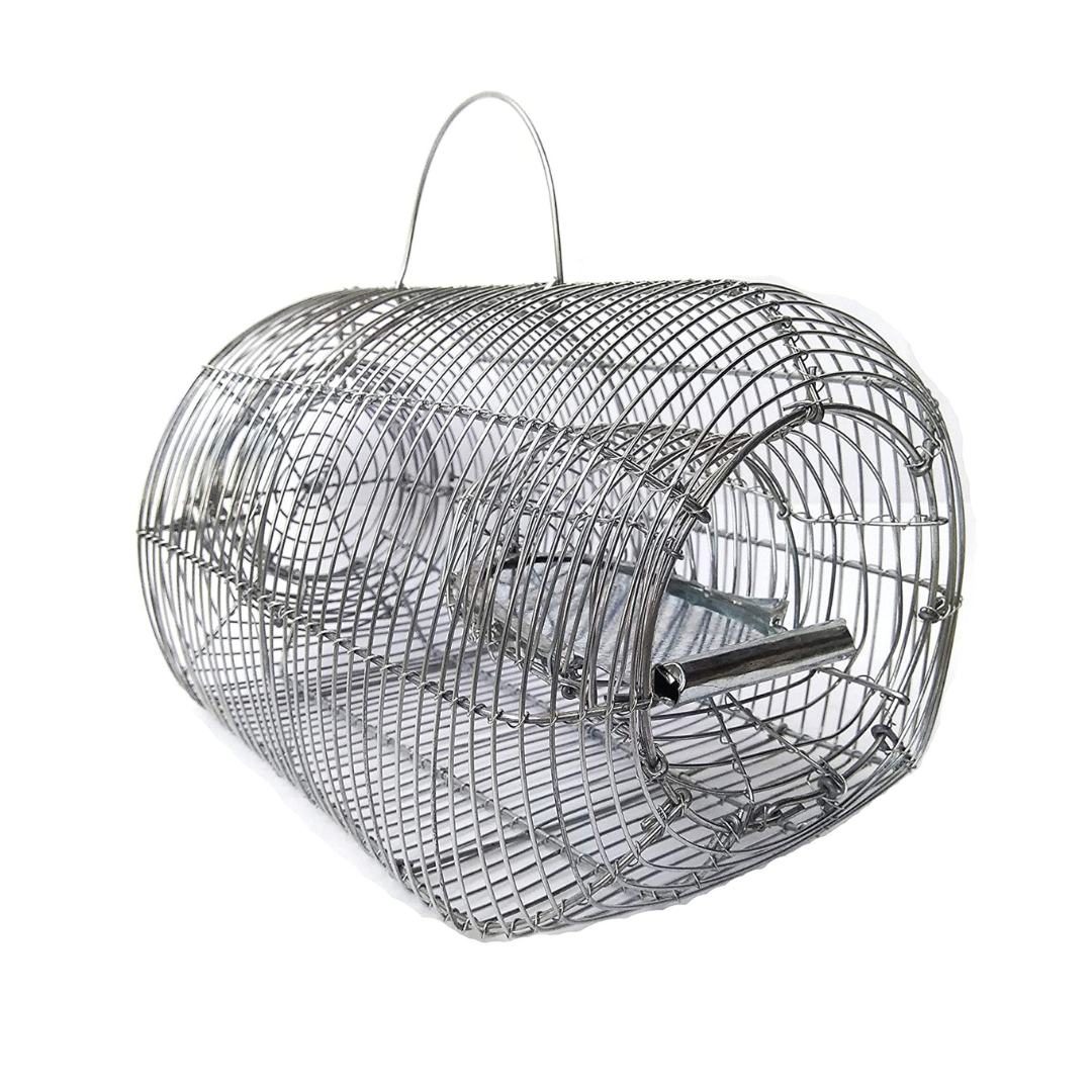 Galvanized Heavy Iron Wire Rat Trap Cage / Chuha Pinjra for Catching R ...