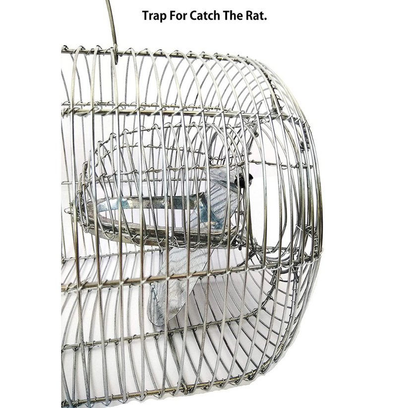 Galvanized Heavy Iron Wire Rat Trap Cage / Chuha Pinjra for Catching R ...