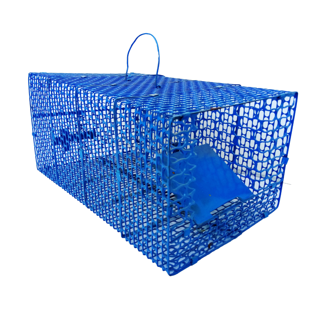 Iron Rat Trap cage / Rat Trap Machine with Multiple Catching Mechanism ...